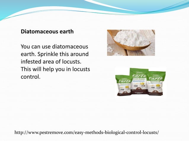 Easy methods for biological control of locusts | PPT