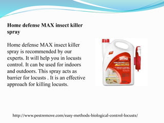 Easy methods for biological control of locusts | PPT