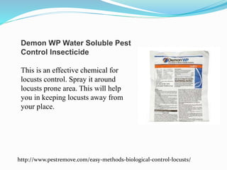 Easy methods for biological control of locusts | PPT