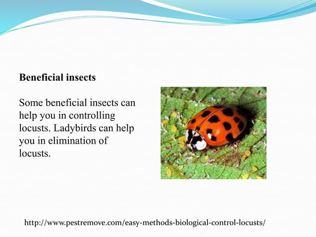 Easy methods for biological control of locusts | PPT