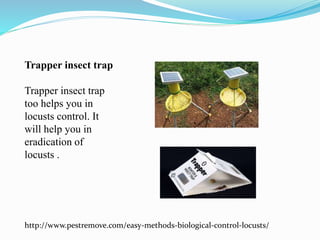 Easy methods for biological control of locusts | PPT