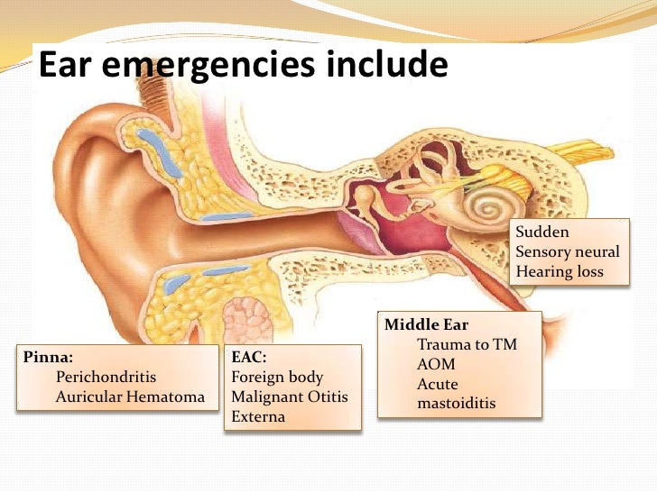 Mastoiditis A Thorough Review Definition Explanation