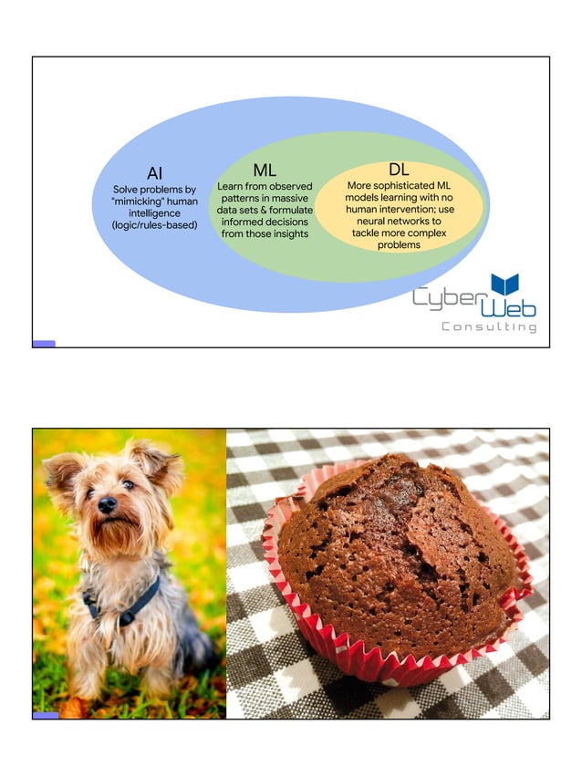 Easy path to machine learning (2023-2024) | PDF
