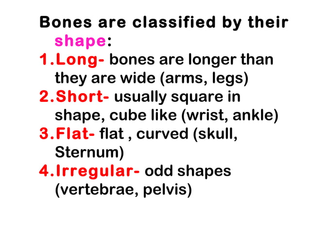 Easy skeletalsystem | PPT | Death, Injury, or Military Conflict ...