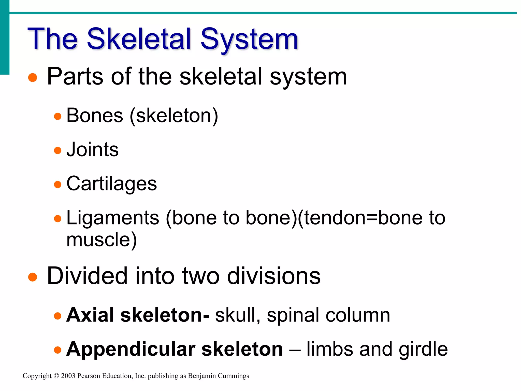 EasySkeletalSystem-3.ppt