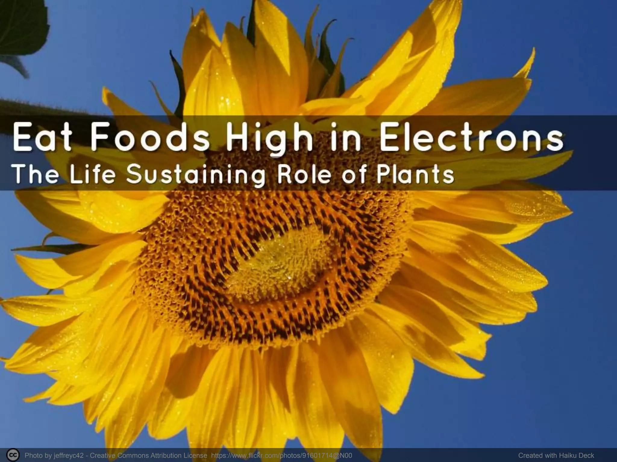 Eat Foods High in Electrons | PPT