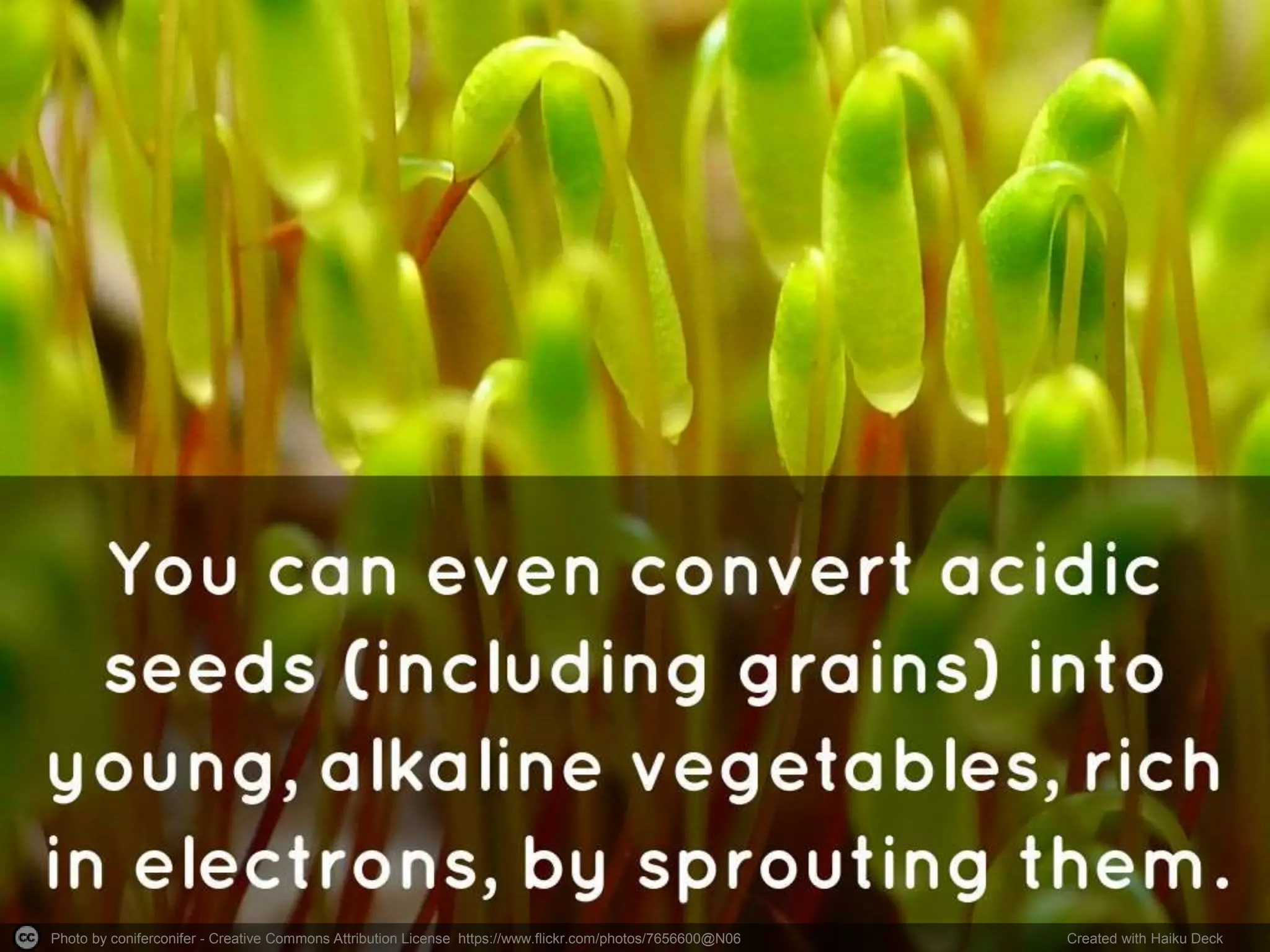 Eat Foods High in Electrons | PPTX