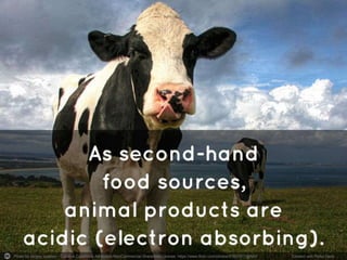 Eat Foods High in Electrons | PPTX