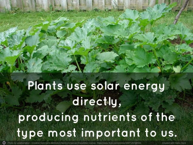 Eat Foods High in Electrons | PPTX
