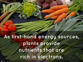 Eat Foods High in Electrons | PPTX