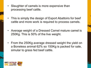 Mike Eathorne: 'Commercial use, industry engagement'. Reducing feral camel impacts across remote ...