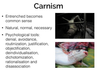 Eating Animals Presentation | PPT