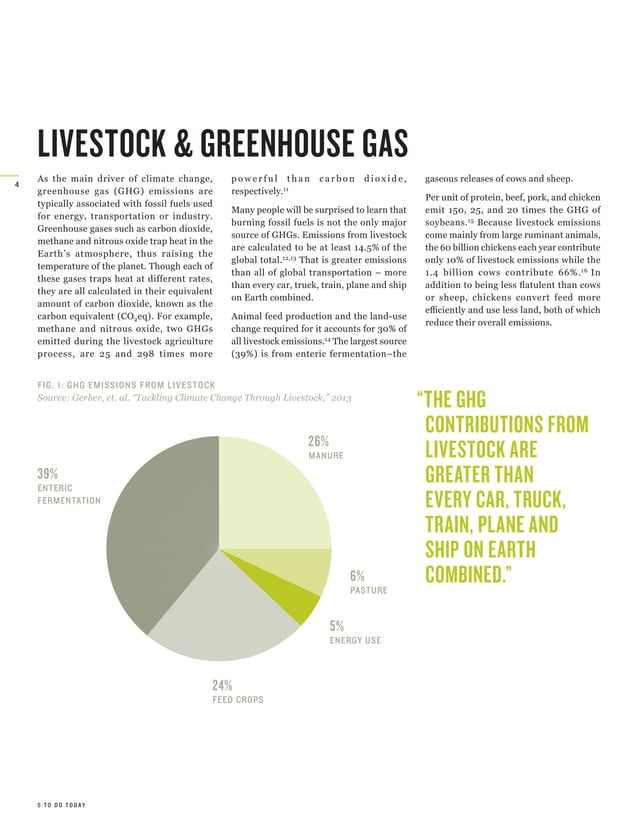 Eating for tomorrow - China | PDF