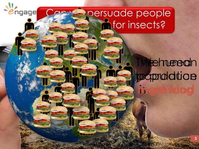Eat insects at xmas | PPT