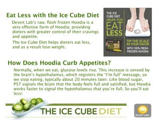 Eatless Ice Cube Diet Presentation | KEY