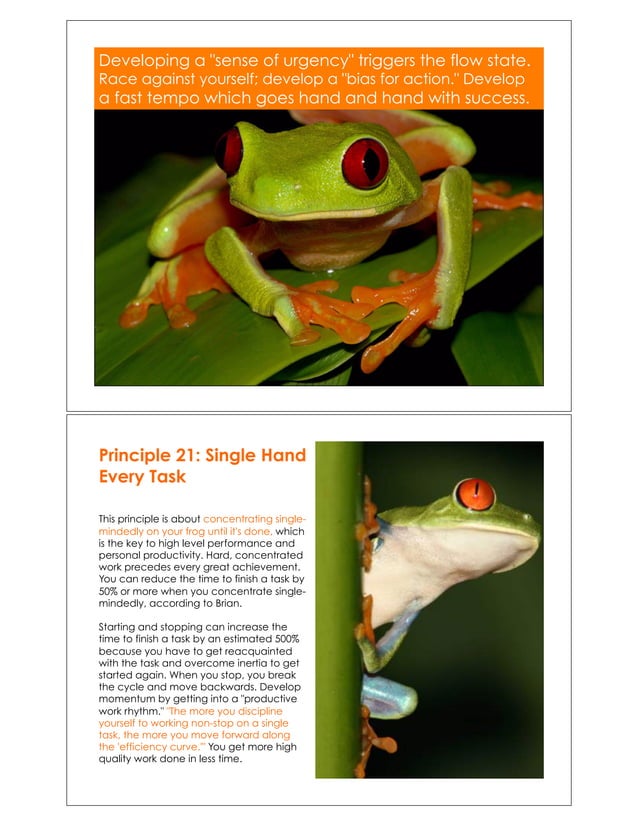 Eat that frog | PDF