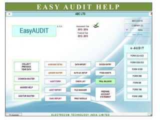 E-Audit software - Preapres Electronic Audit Report | PPT