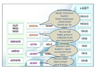 E-Audit software - Preapres Electronic Audit Report | PPT
