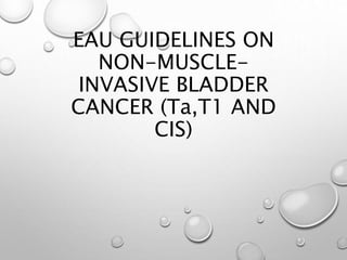 Eau guidelines nmibc | PPT