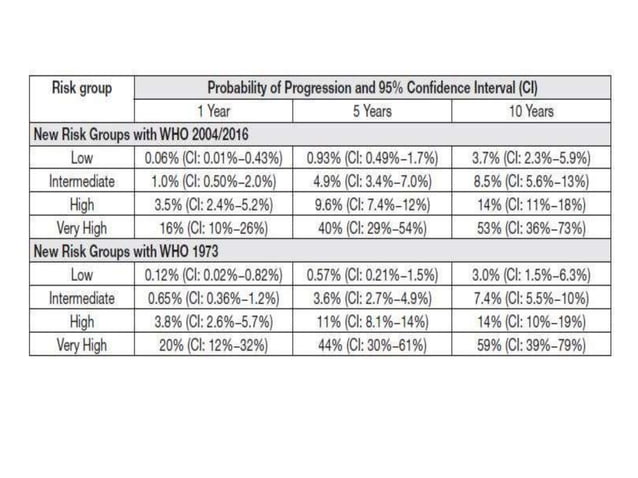 EAU NMIBC RISK CALCULATOR.pptx