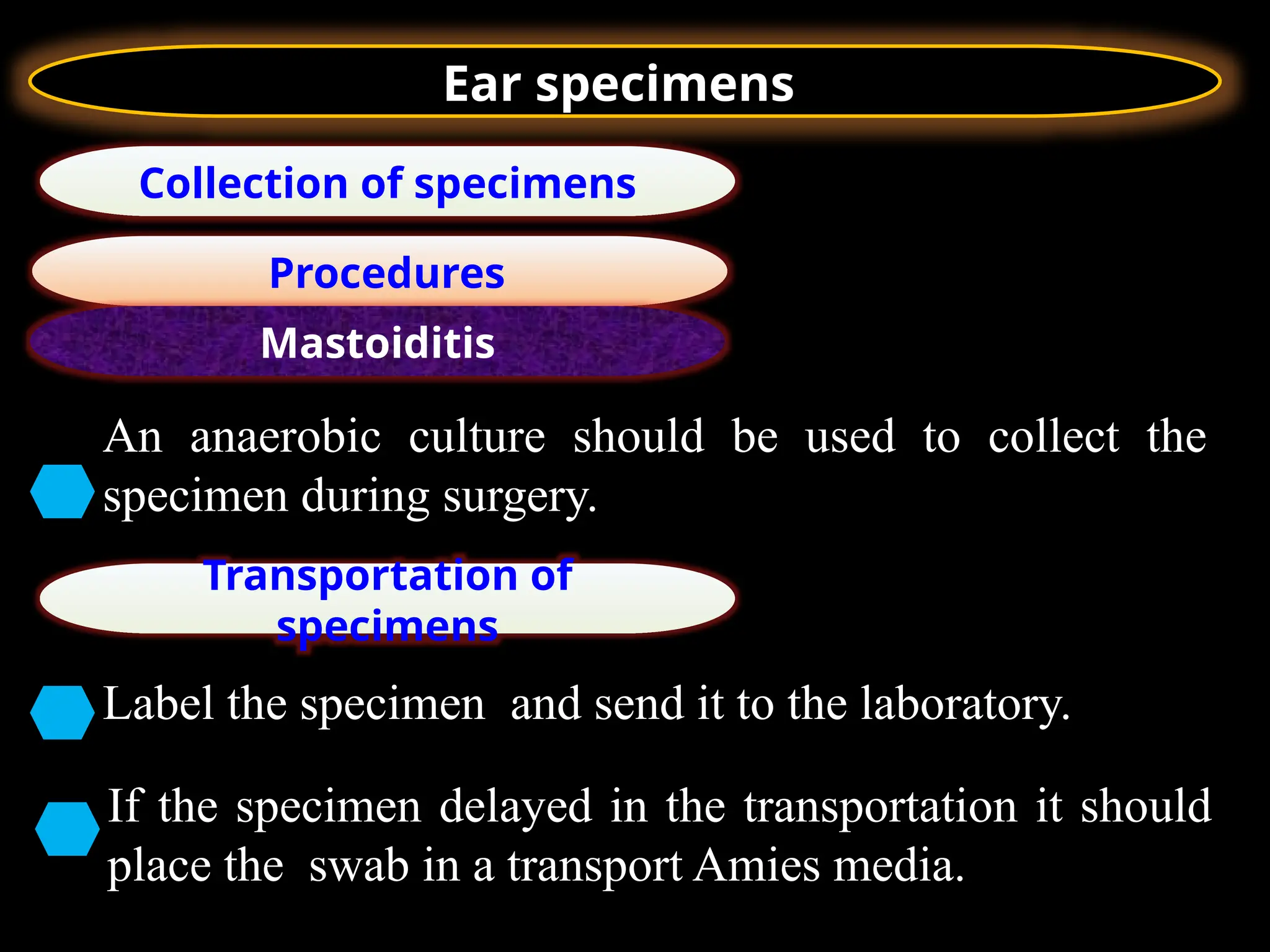 Eay and Ear specimen_٠١٣٤٣٠.pptxfhhgfghj | PPT