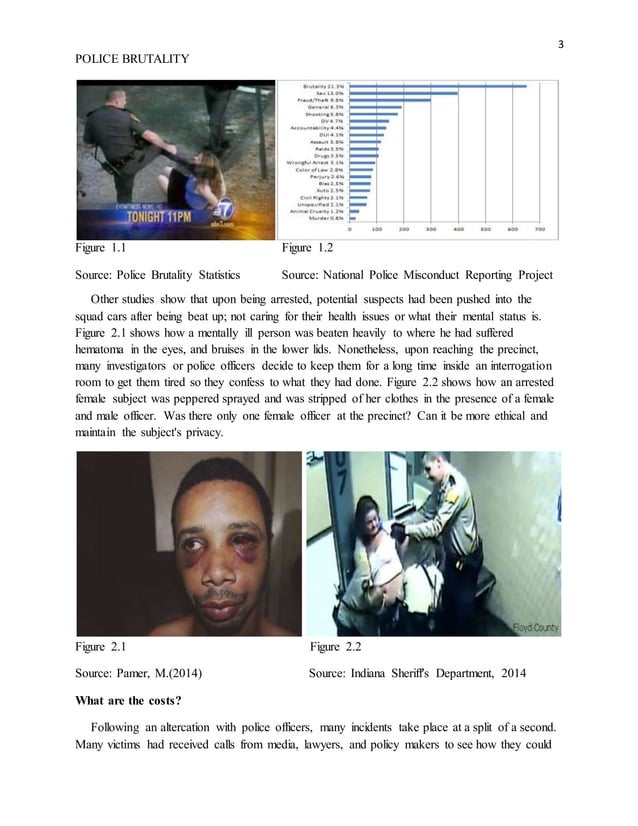 Police Brutality | DOCX | Medical Health