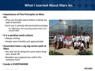 Final Presentation | PPTX