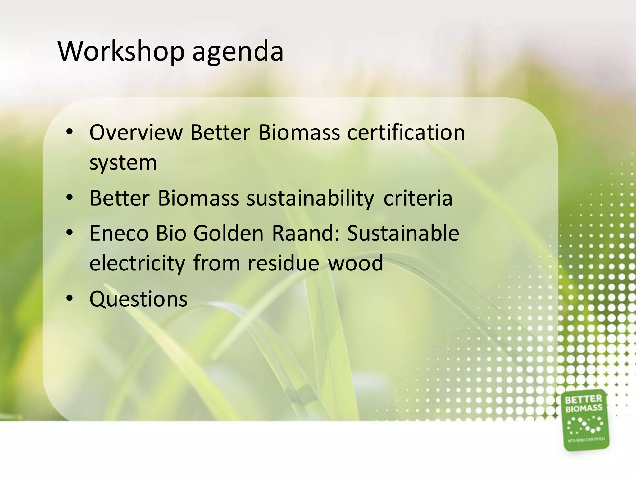 20151027 Better Biomass workshop Brussels | PDF