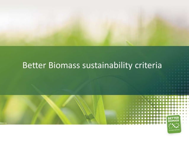 20151027 Better Biomass workshop Brussels | PDF