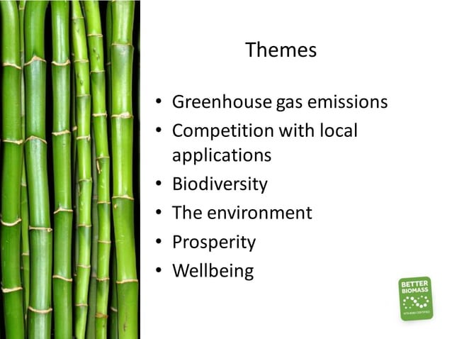 20151027 Better Biomass workshop Brussels | PDF