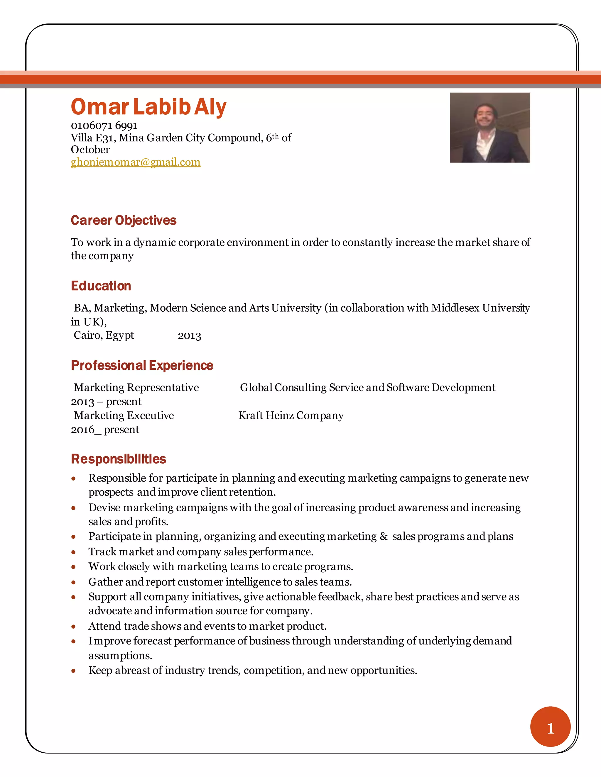 Cv Omar Labib Aly 2015 Pdf 