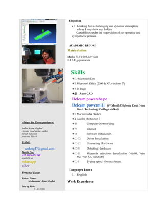 amber cv 2 | PDF