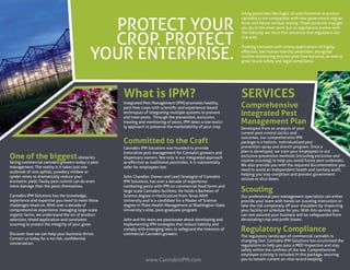 Cannabis IPM brochure-1 | PDF | Agriculture | Industries