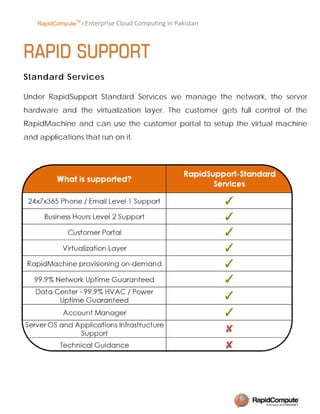 RapidCompute - Company Profile | PDF