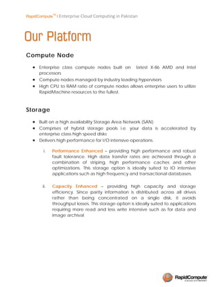 RapidCompute - Company Profile | PDF