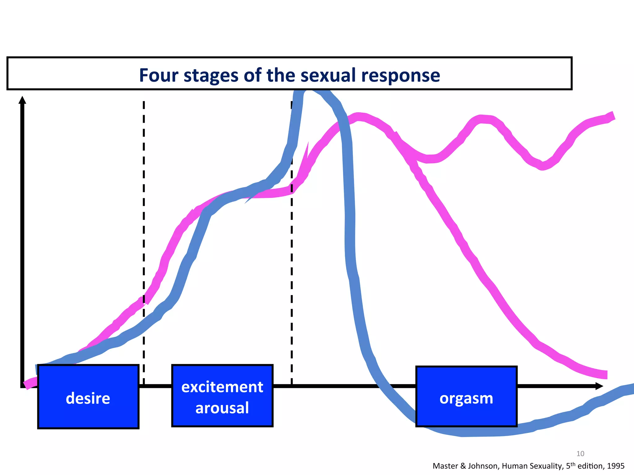 Penile Rehabilitation After Prostate Cancer Treatment Is There An