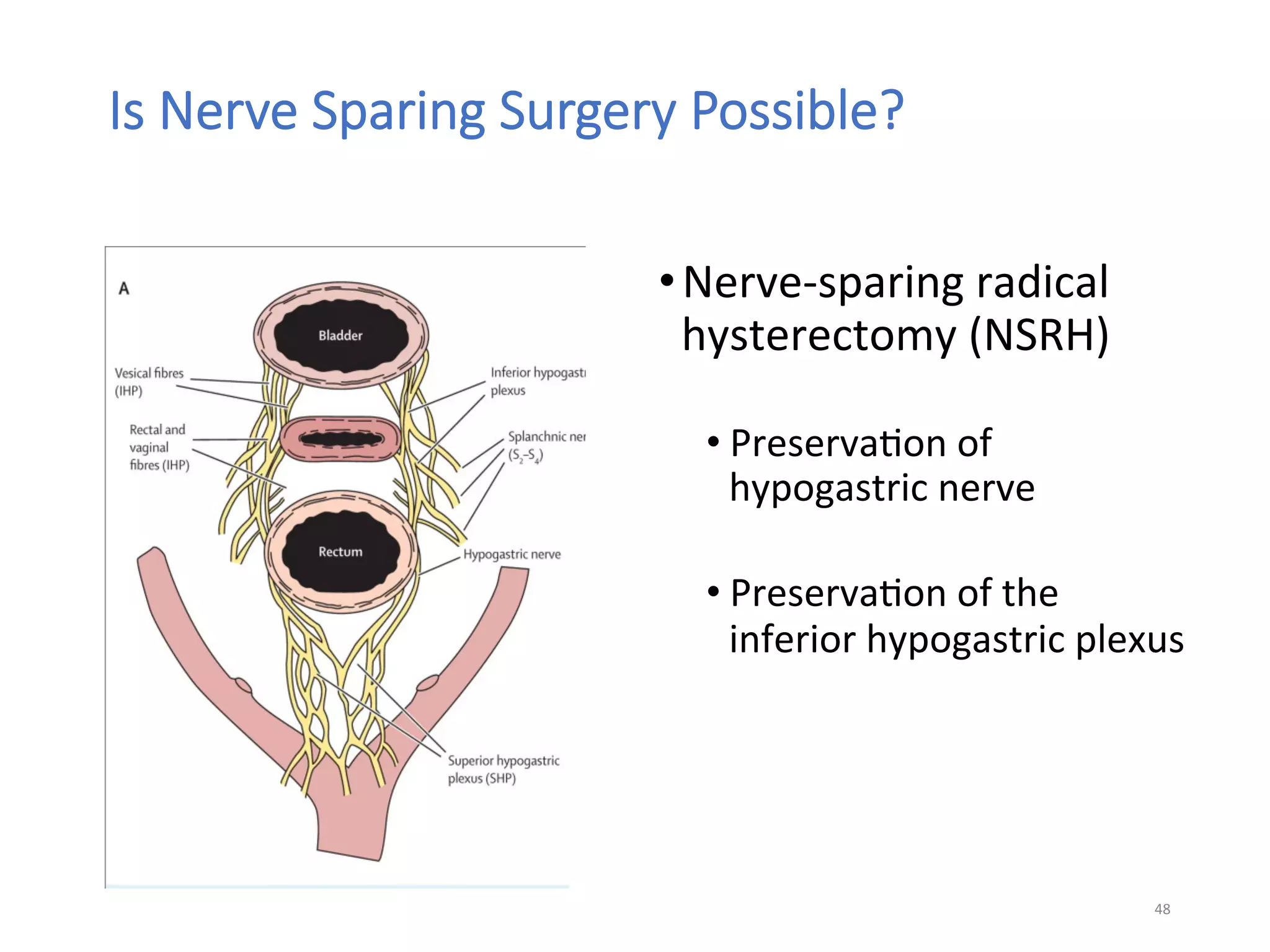 Penile Rehabilitation After Prostate Cancer Treatment Is There An