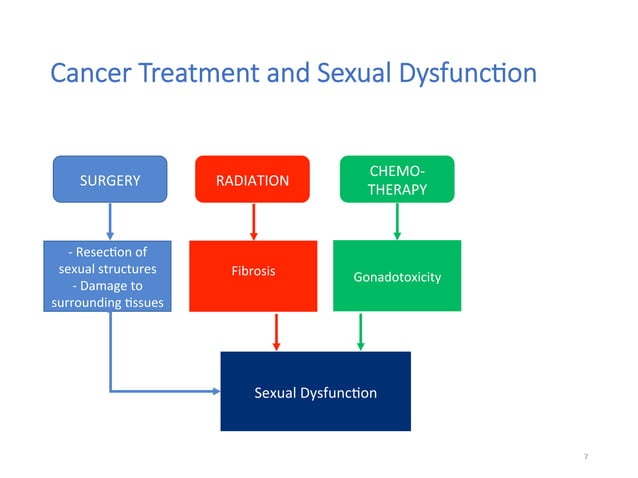 Penile Rehabilitation After Prostate Cancer Treatment Is There An