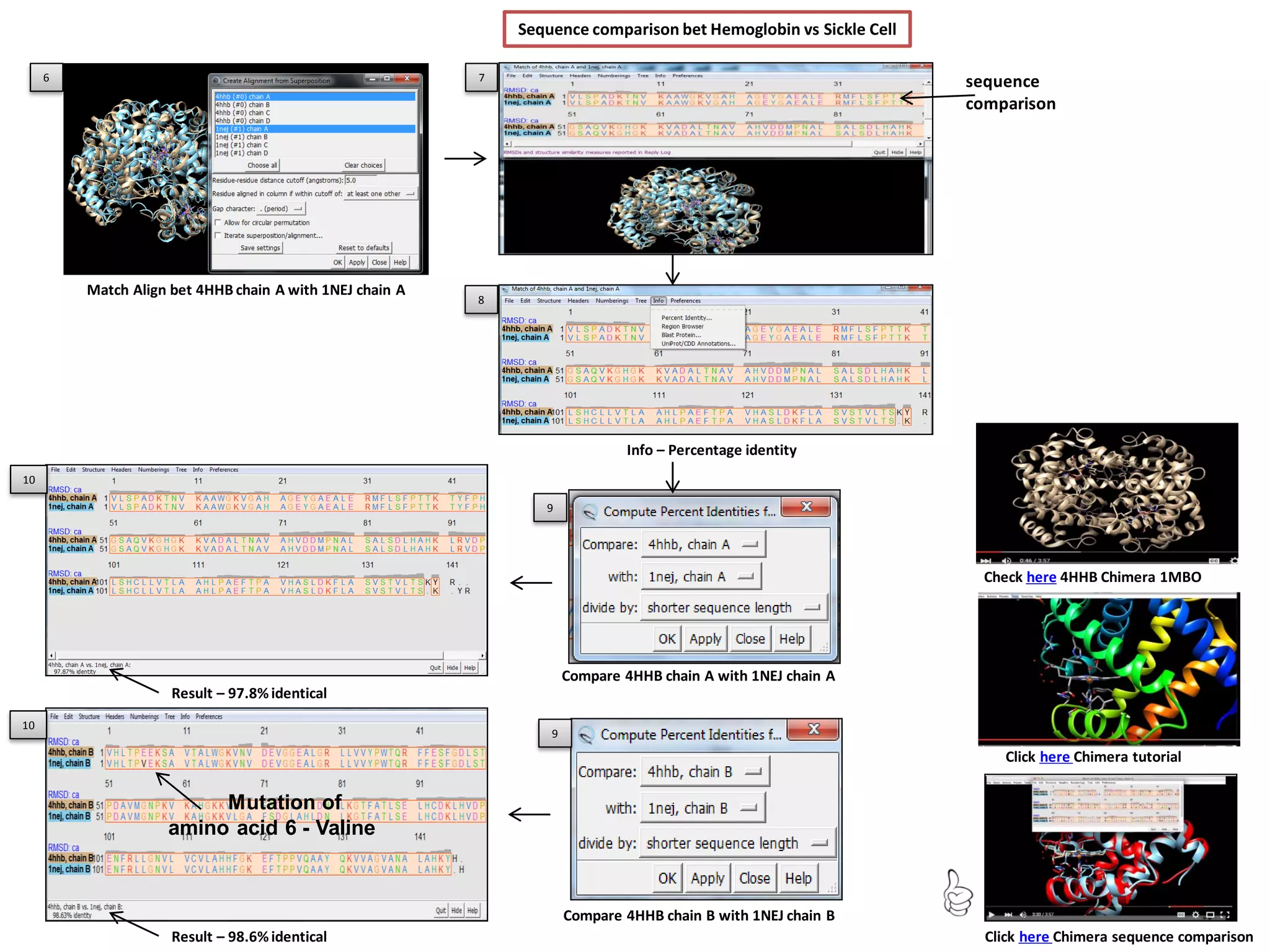IB Chemistry on ICT, Protein Sequencing , Chimera, Jmol, Pymol for ...