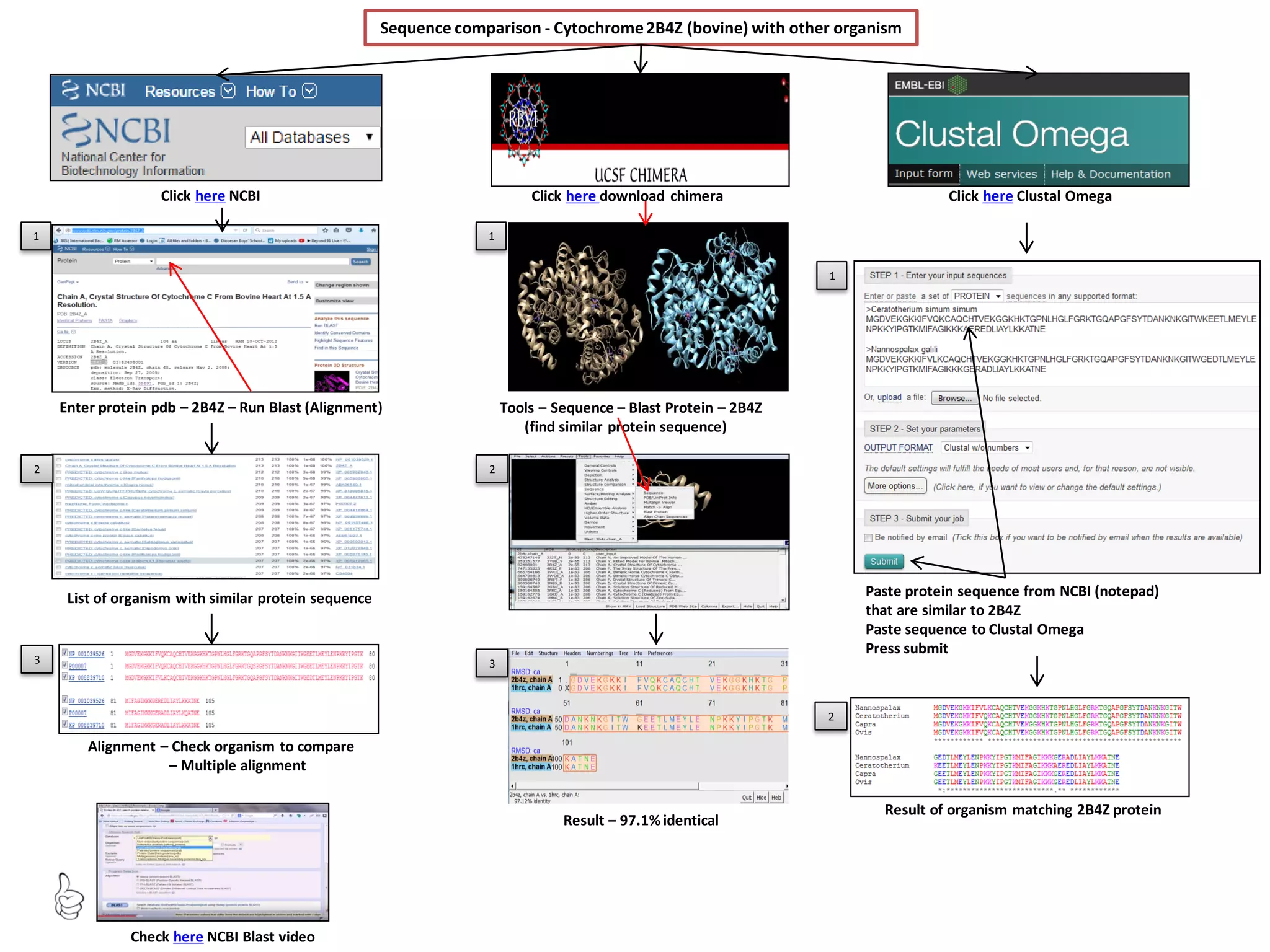 IB Chemistry on ICT, Protein Sequencing , Chimera, Jmol, Pymol for ...