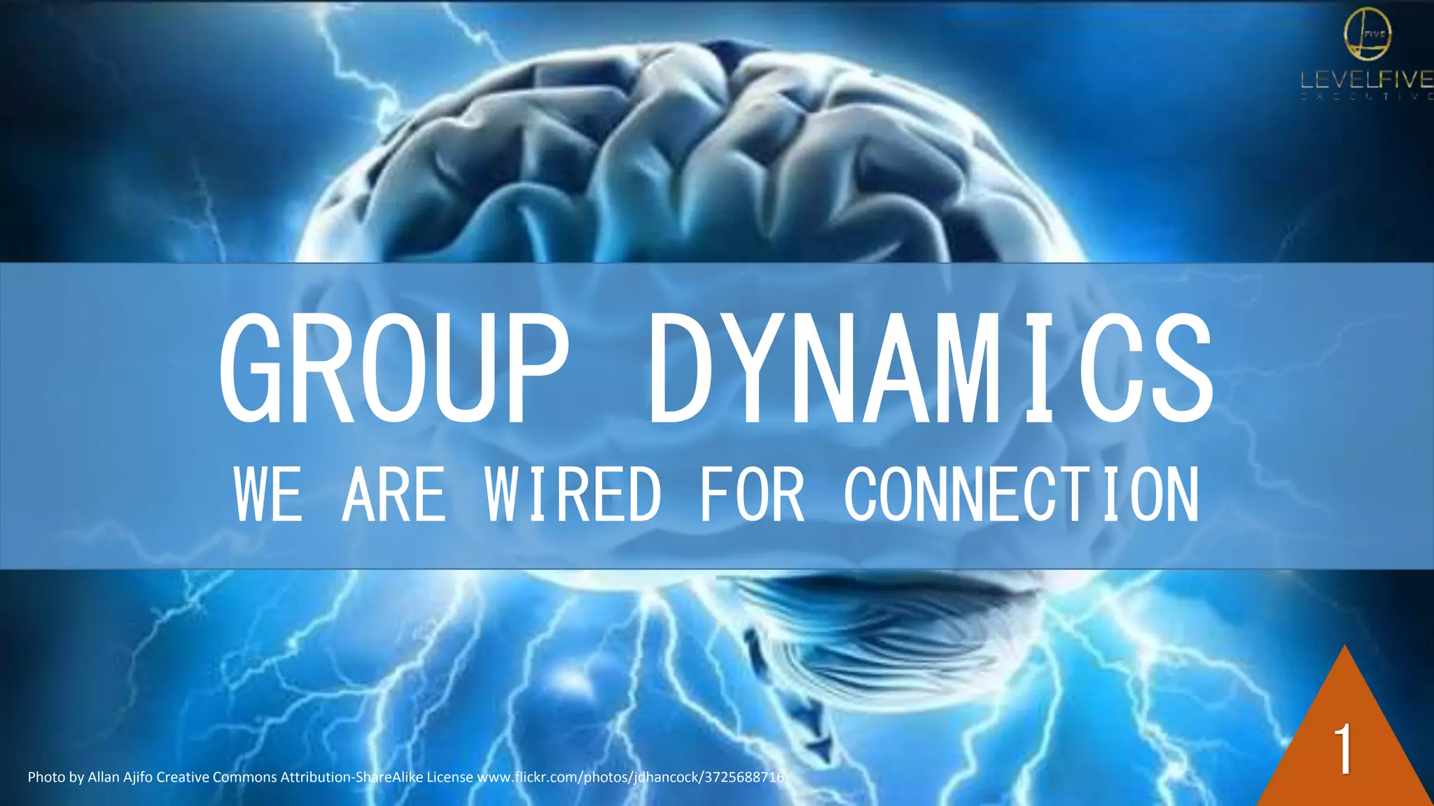 ACHIEVE BETTER RESULTS WITH HIGHER DYNAMICS | PPT