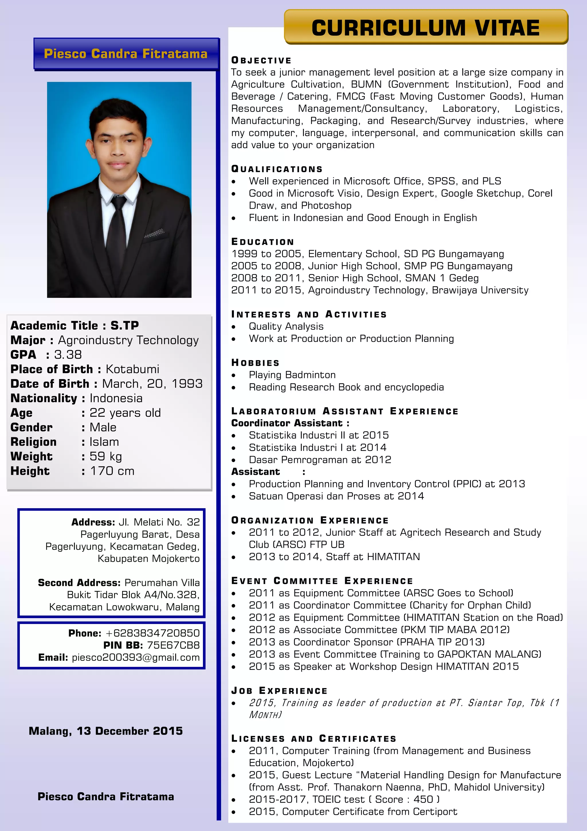 CV internasional Piesco 2 | PDF