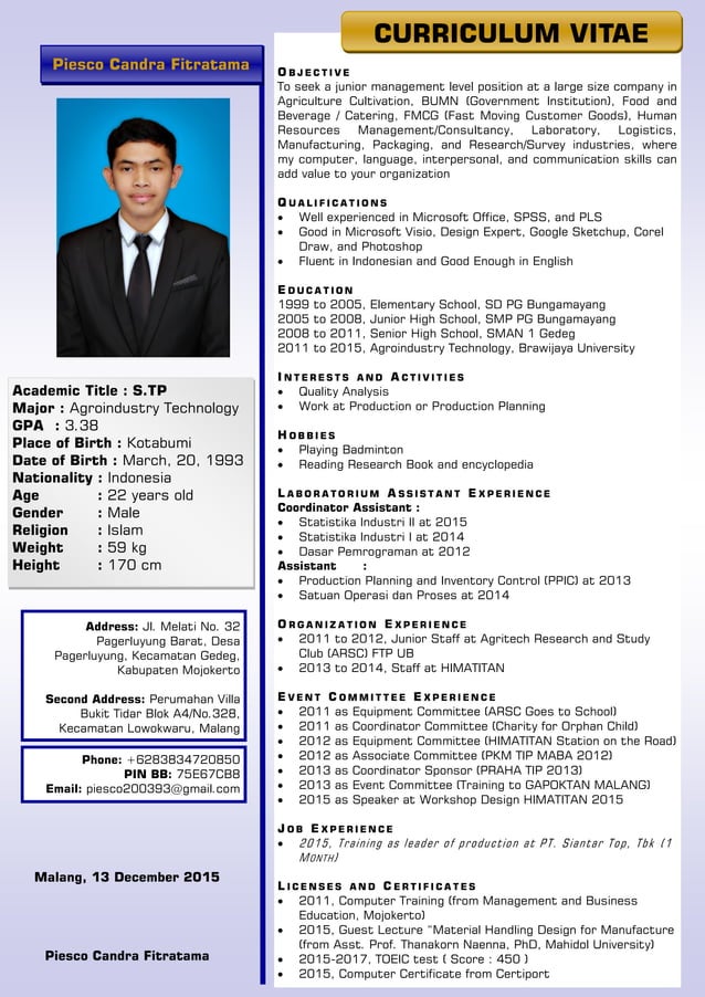 CV internasional Piesco 2 | PDF