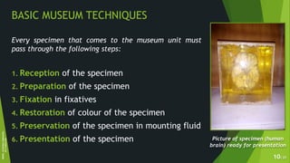 Museum Techniques: IT seminar presentation at AE-FUTHA | PPTX