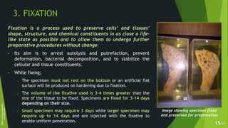 Museum Techniques: IT seminar presentation at AE-FUTHA | PPTX