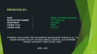 Museum Techniques: IT seminar presentation at AE-FUTHA | PPTX