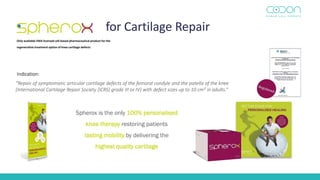 A GMP facility of the future implemented in the present | PPT