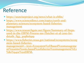 EBFM.pptx