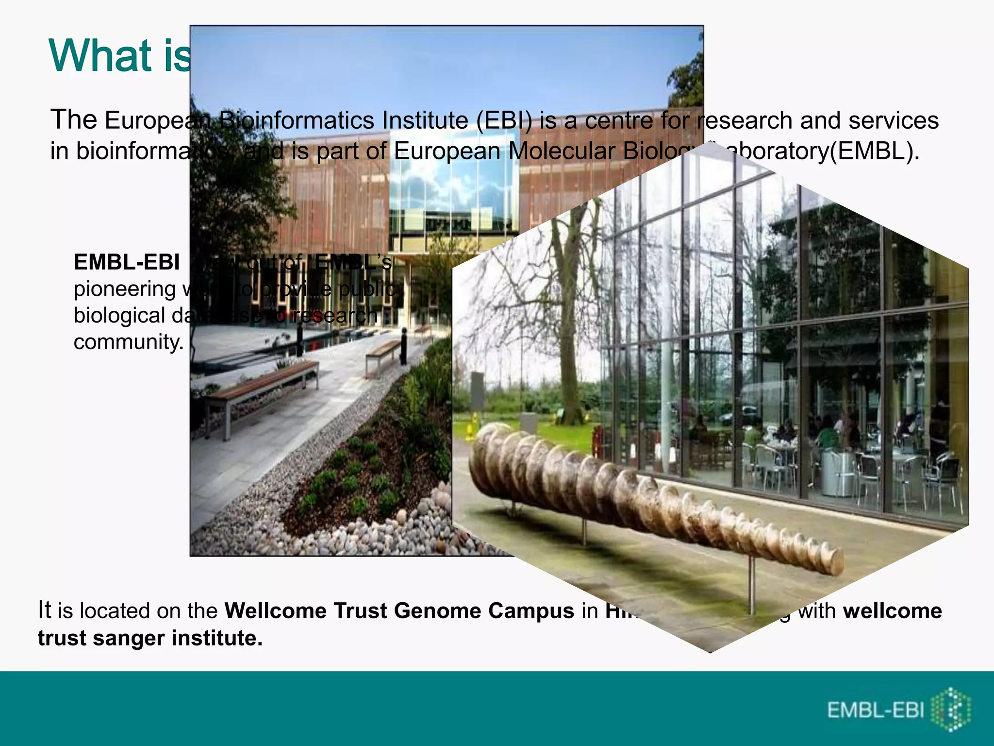 EMBL-EBI | PPTX