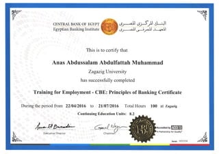 EBI - Principles of Banking Certificate | PDF